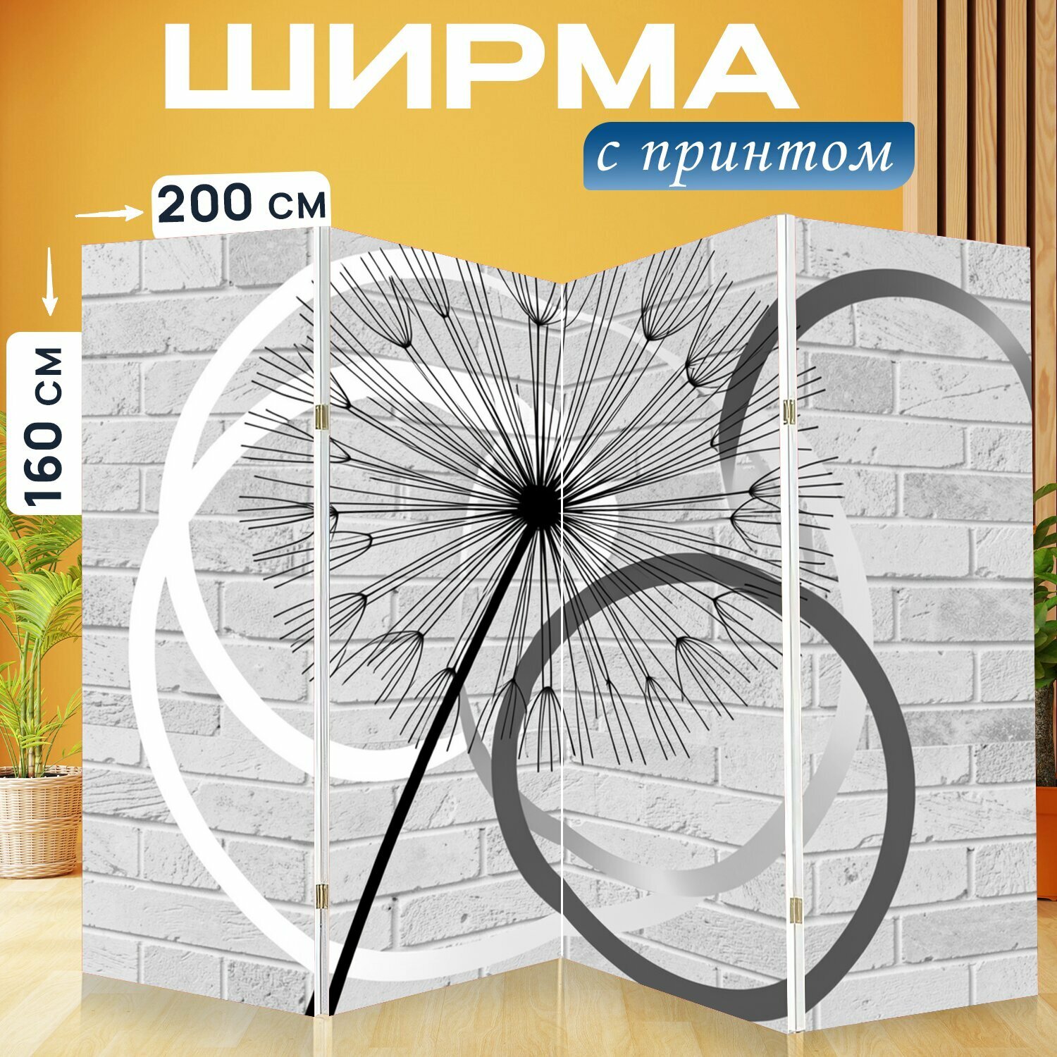 Ширма "Черный одуванчик и абстрактные круги. Минималистичная ботаническая иллюстрация с тонким силуэтом." перегородка для зонирования комнаты с принтом 200x160 см. на холсте