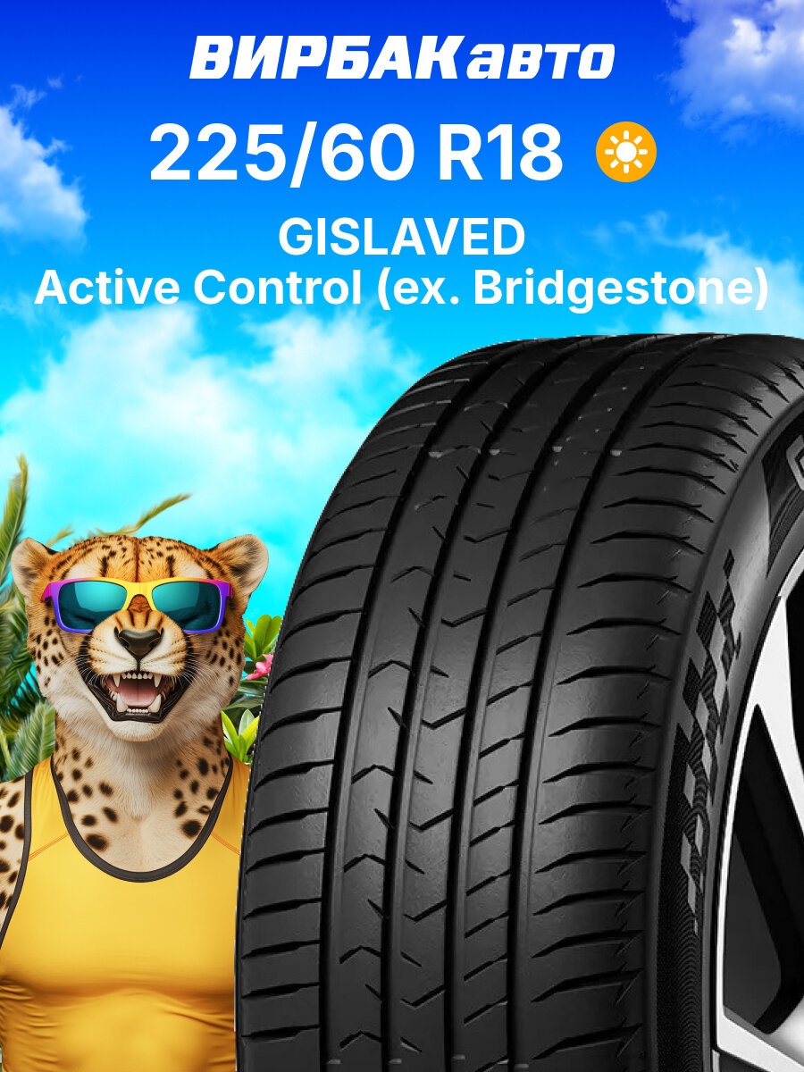 Летние шины GISLAVED ActiveControl 225/60R18 100H, летняя автомобильная резина