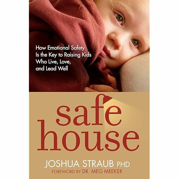 Safe House: How Emotional Safety Is the Key to Raising Kids Who Live, Love, and Lead Well，Reprinted paperback book
