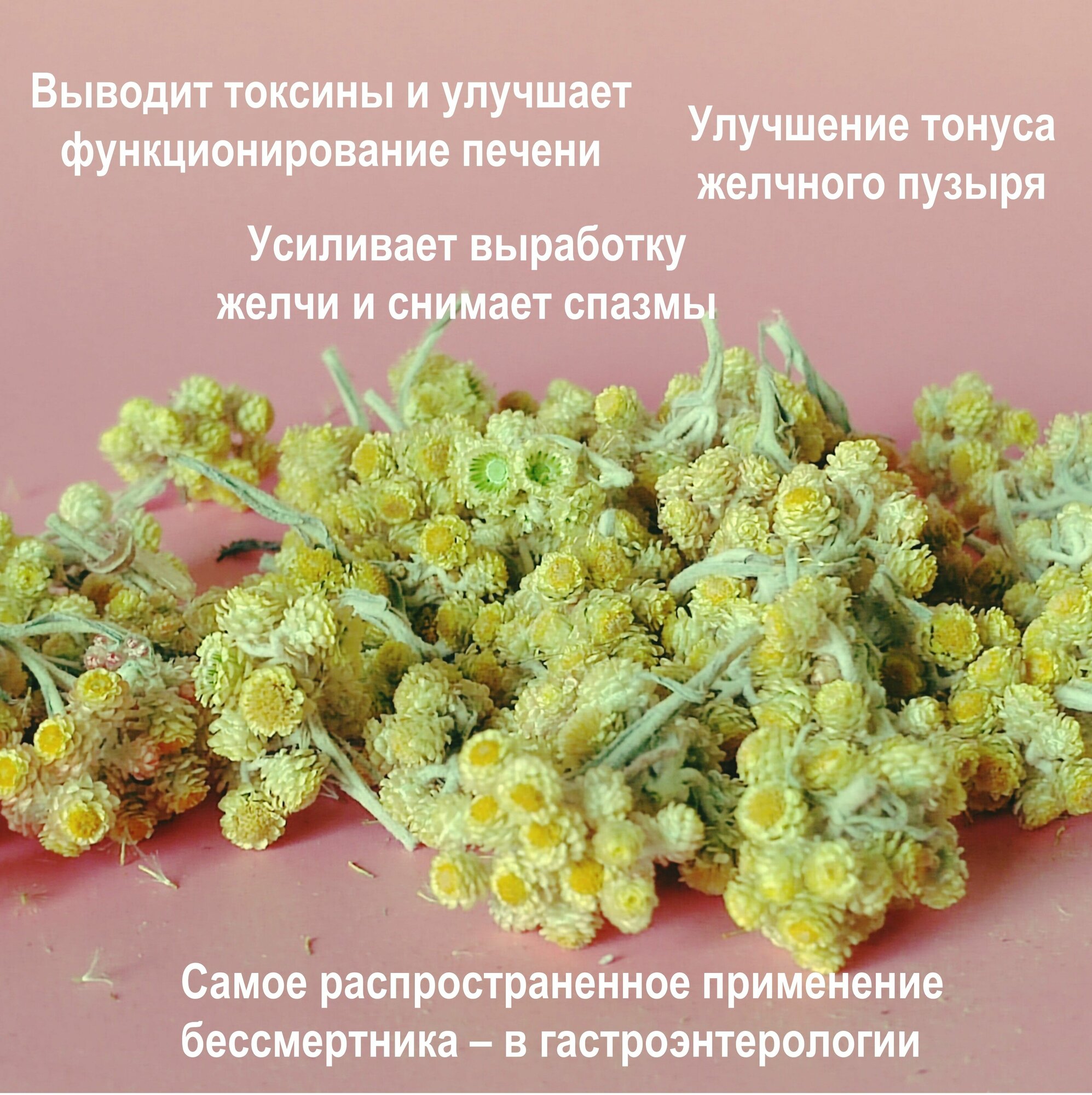 Цветки бессмертника Беловодье, песок, отхаркивающие, мочегонные, желчегонные