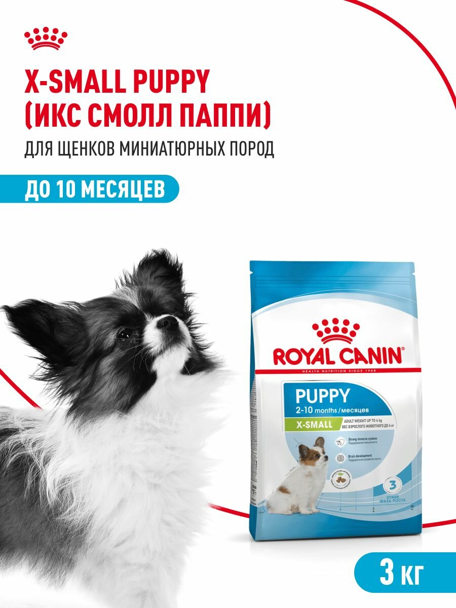 Сухой корм для щенков Royal Canin X-Small для миниатюрных пород, 3 кг