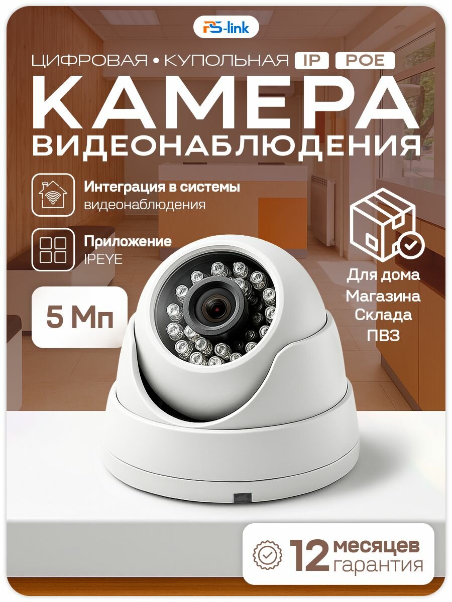 Камера видеонаблюдения IP для ПВЗ / 5Мп, питание PoE, облако IPEye, для помещения / Ps-Link IP305P-YE