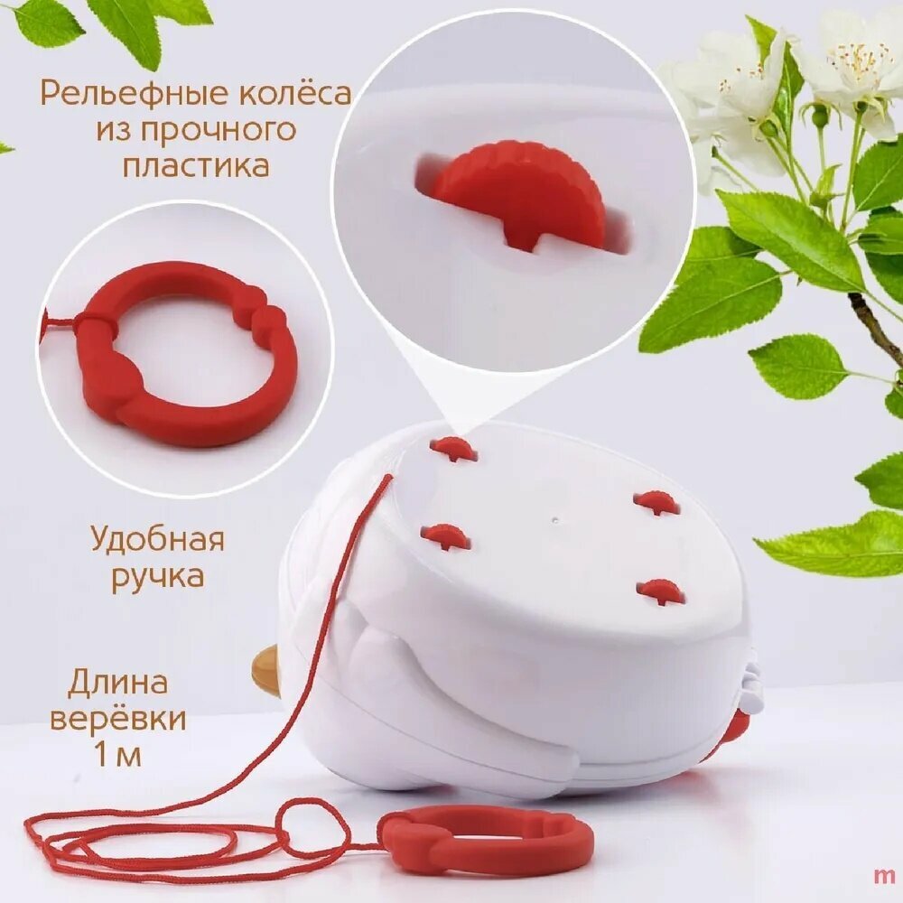 Развивающая игра-сортер "Яйца" с курицей