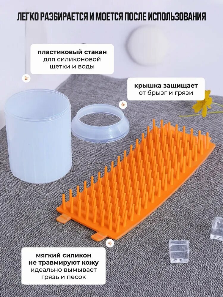 Лапомойка — фото 1