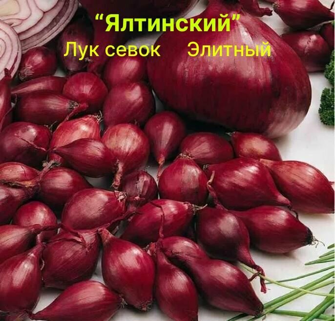 Лук севок на посадку Ялтинский красный 500гр