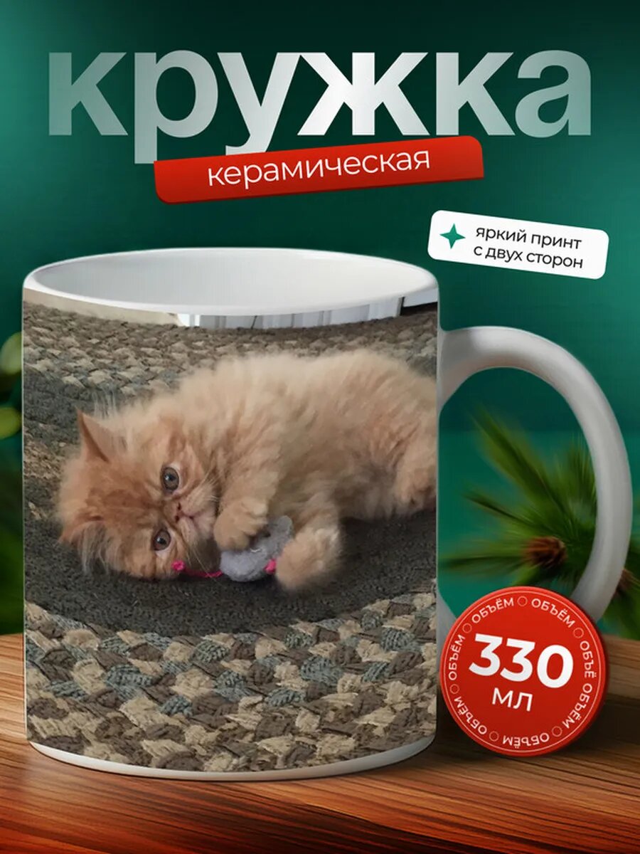 Кружка Иранский персидский кот 26,