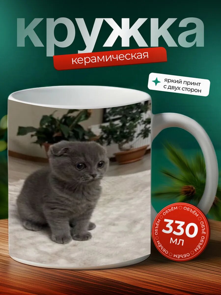 Кружка Башкирский кудрявый кот 35,