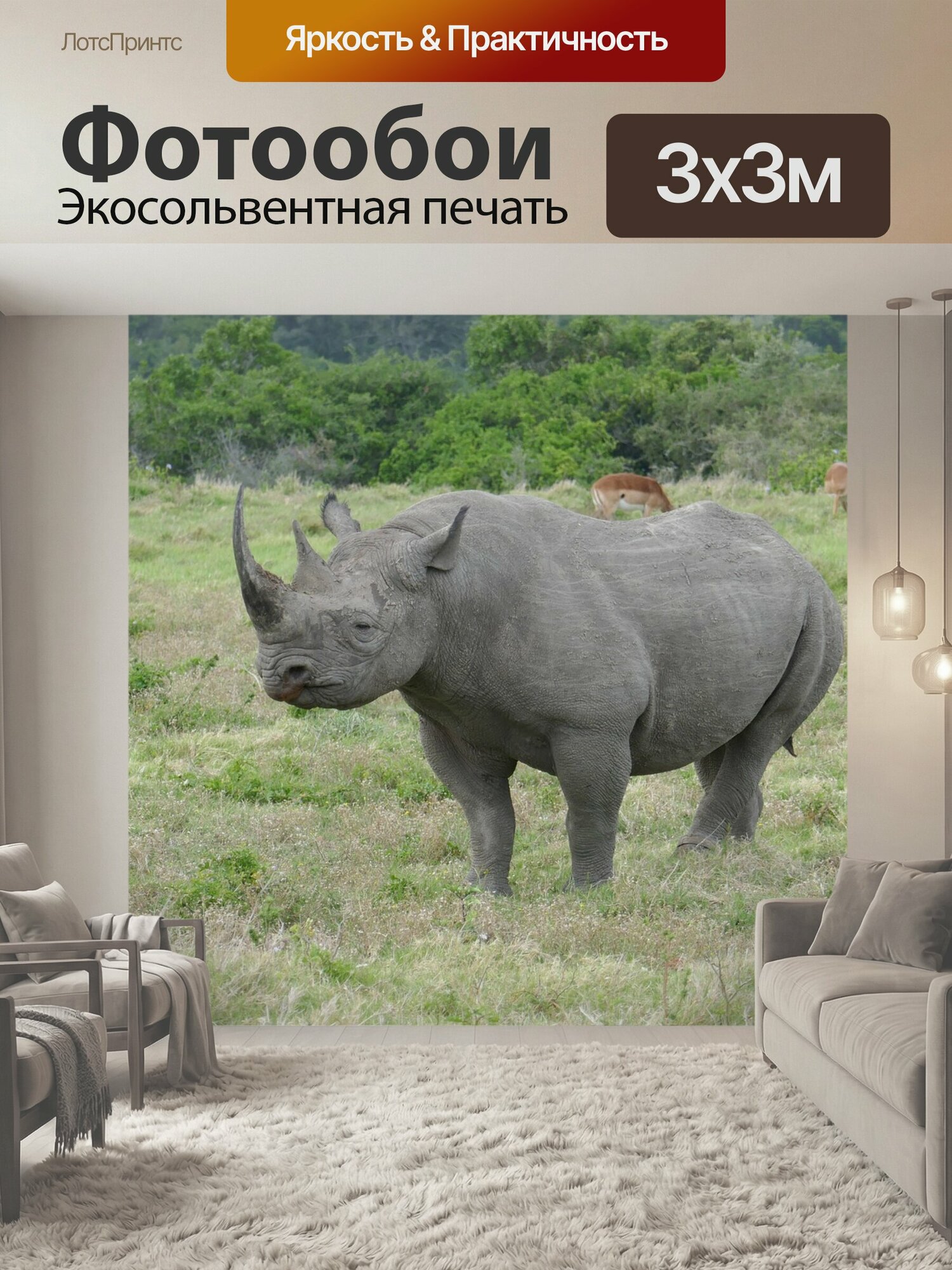 Фотообои "Носорог, kariega, животные" 300x300 см. экосольвентная печать
