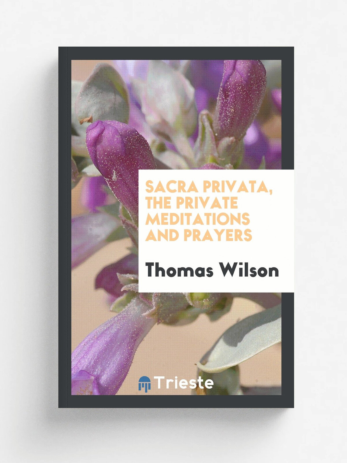 Sacra Privata, private meditations and prayers