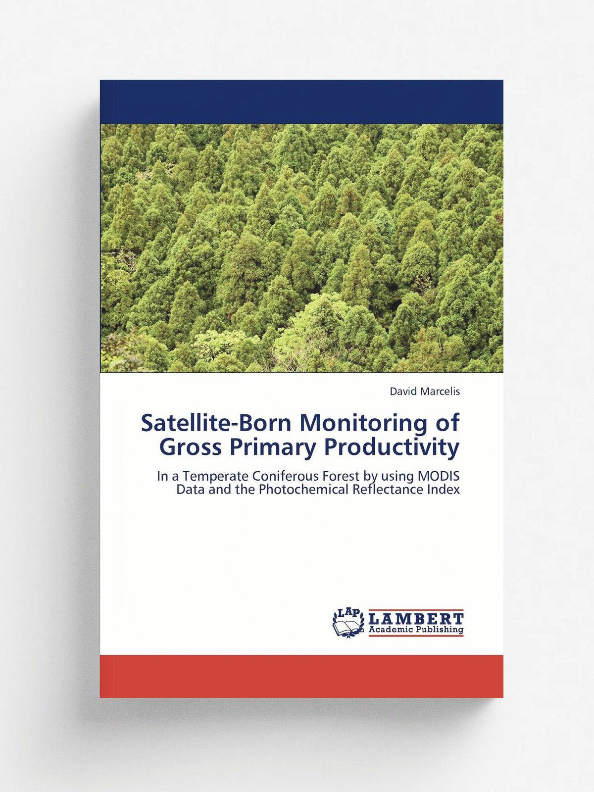 Satellite-Born Monitoring of Gross Primary Productivity