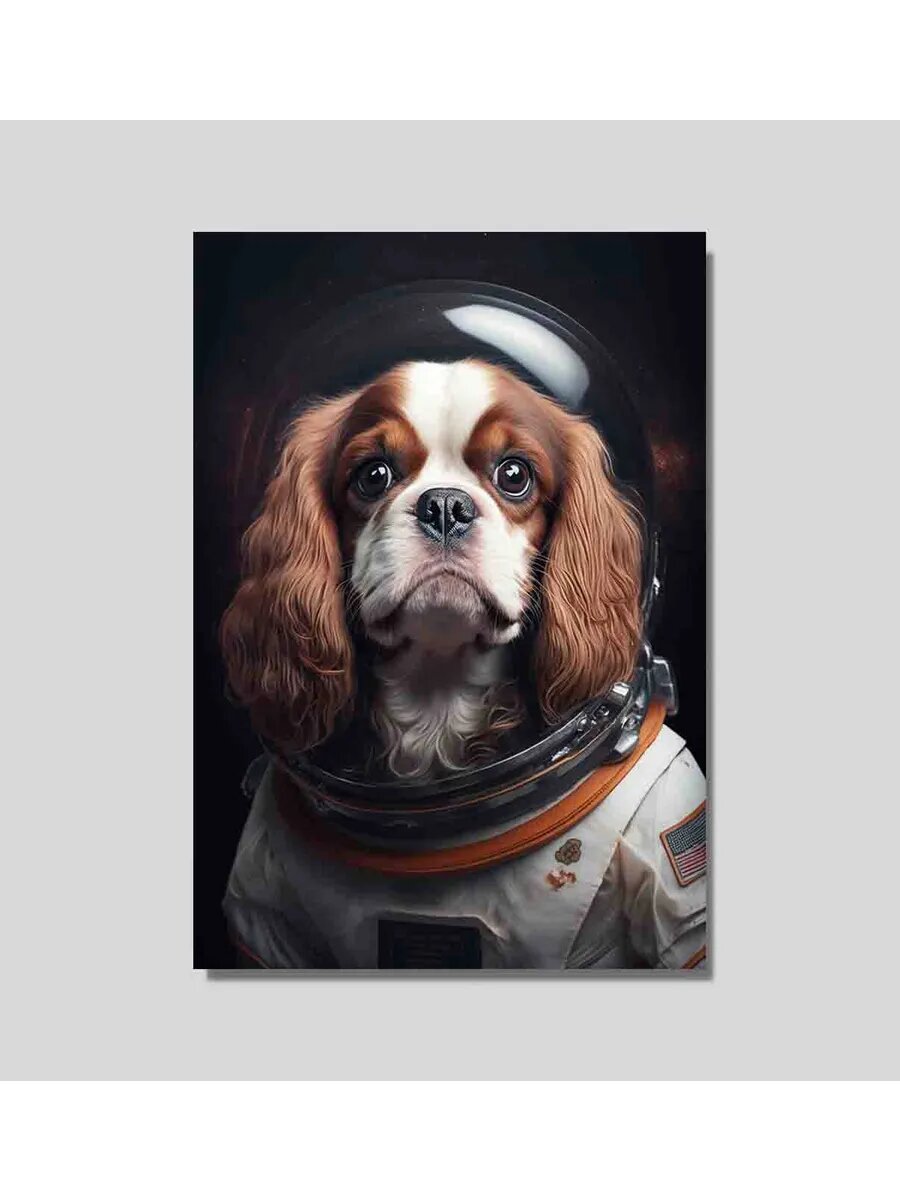Собака-космонавт Кавалер Кинг Чарльз спаниель 2, Плакат 30x4