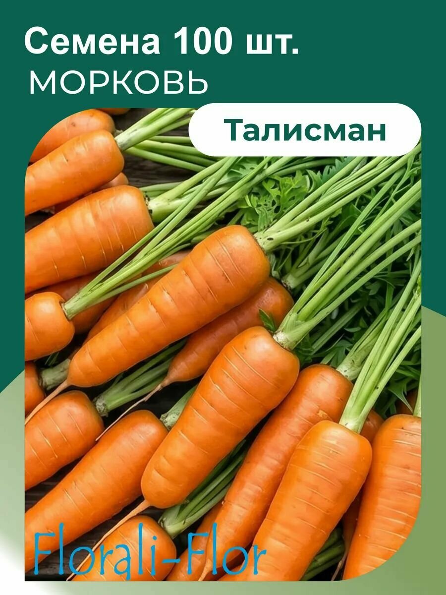 Морковь Семена