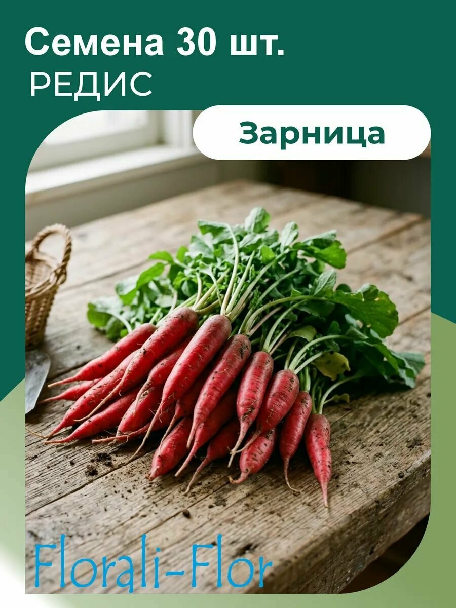 Редис Семена