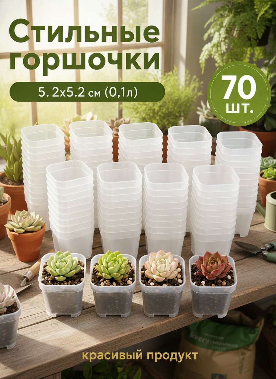 Набор прозрачных пластиковых горшков для суккулентов и рассады 0,1 л, диаметр 5 см, 70 штук в упаковке