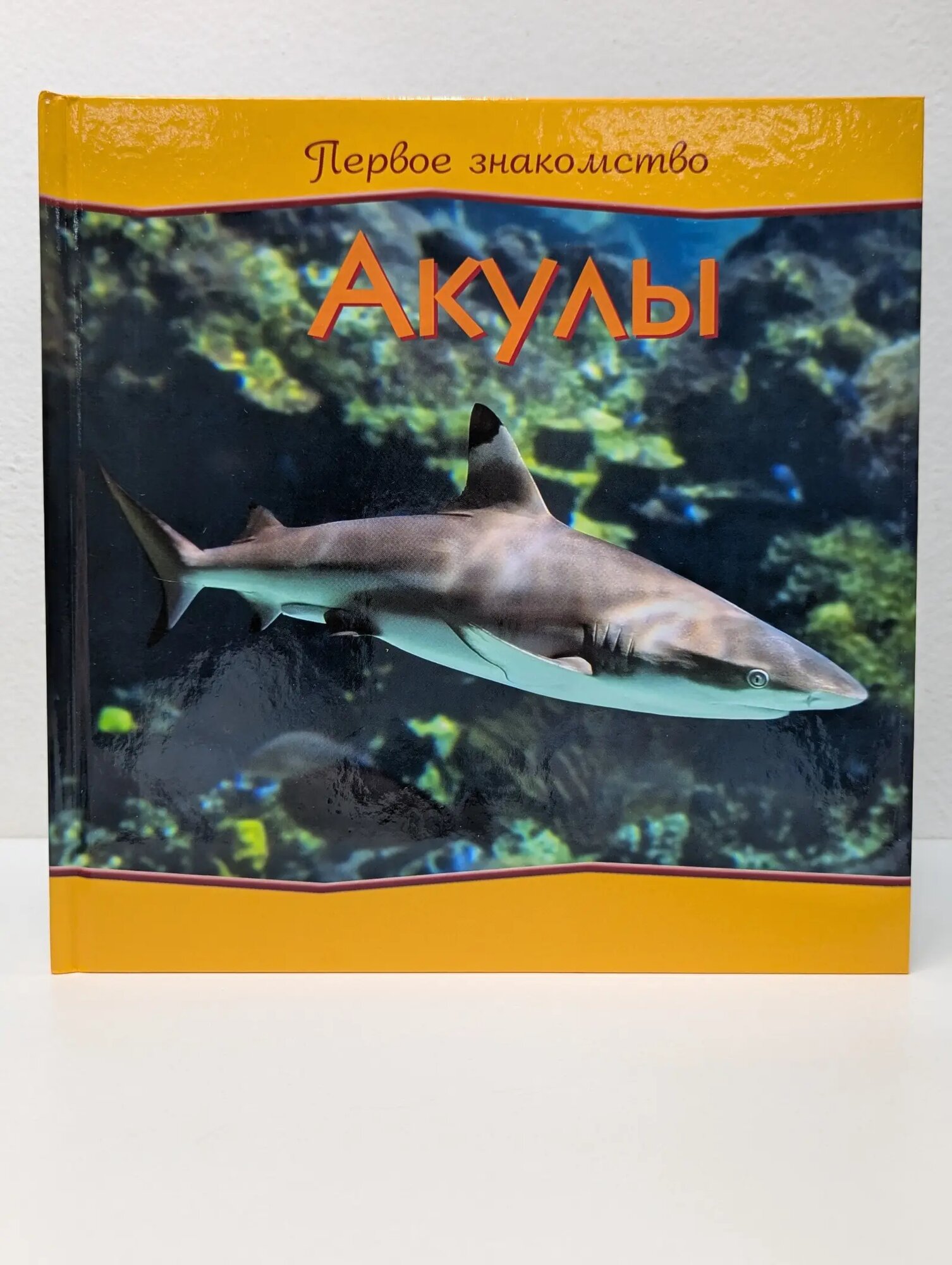 Первое знакомство. Акулы Вилсон Кристина 2008