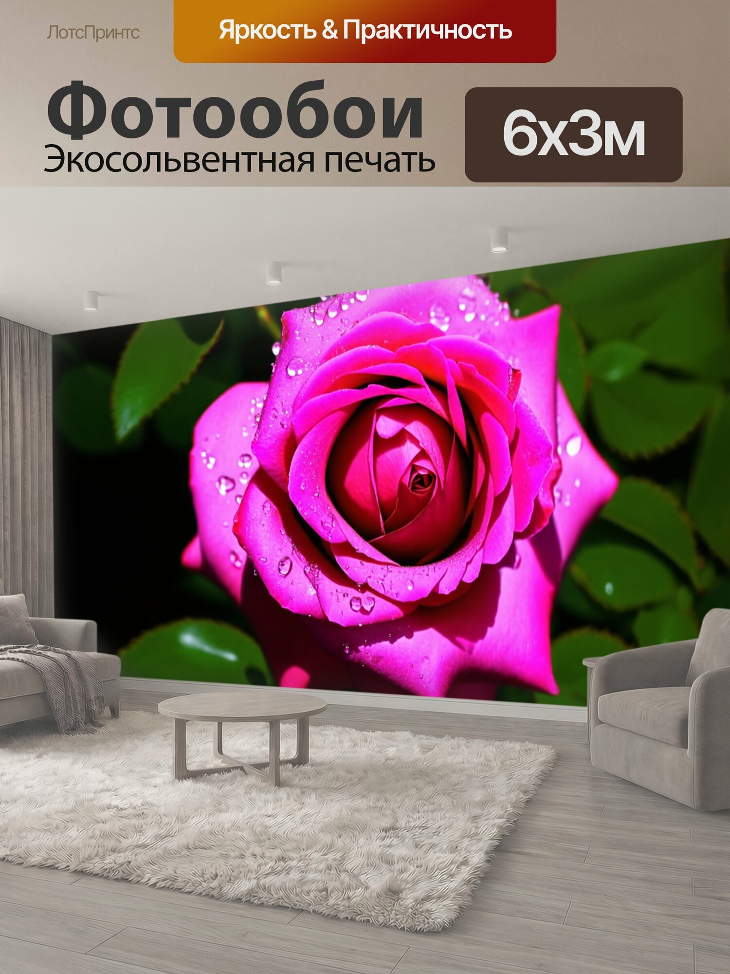 Фотообои "Замедленная фотография крупного плана ярко-розовой розы с каплями росы, отражающими свет утреннего солнца. на фоне размытое зелёное." 600x300 см. экосольвентная печать