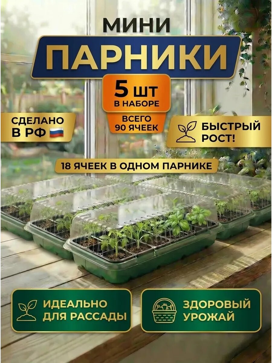 Мини парник для рассады с крышкой