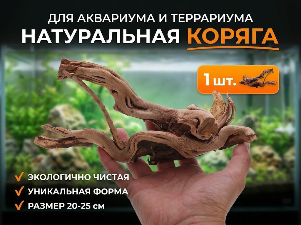 Натуральная коряга для аквариума и террариума (корень азалии), декор для акваскейпинга, 20-25 см
