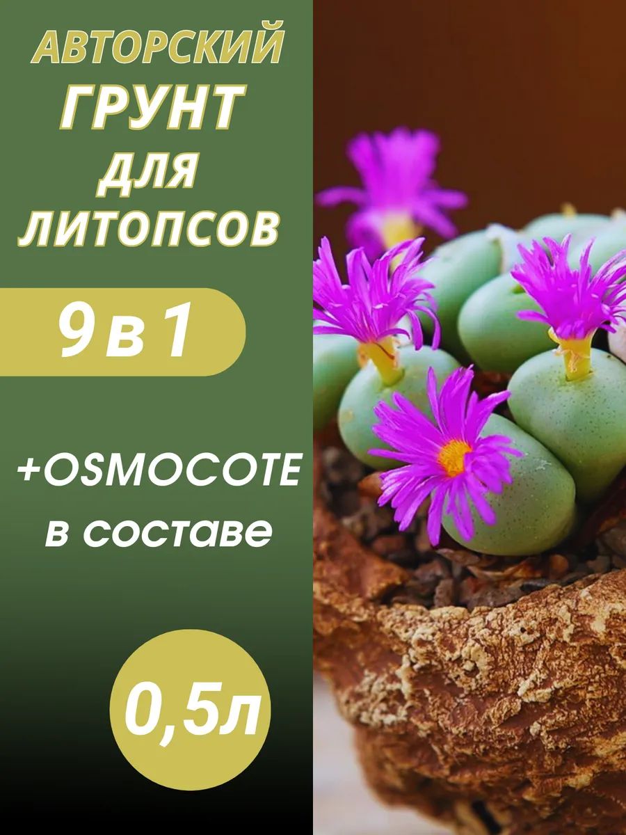 Грунт для Литопсов 0.5л готовый