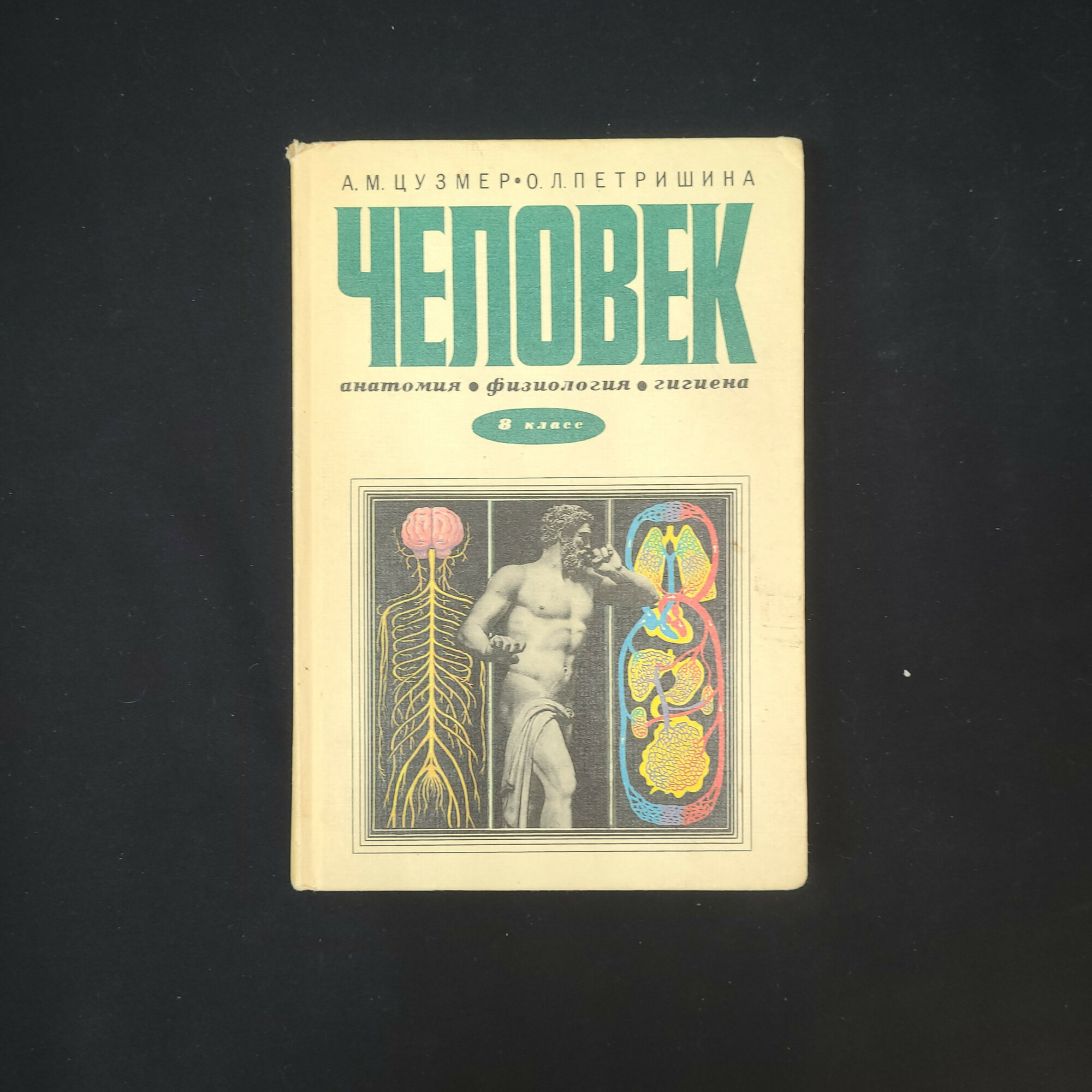 Человек. Анатомия, физиология, гигиена. Книга СССР, учебник для 8 класса