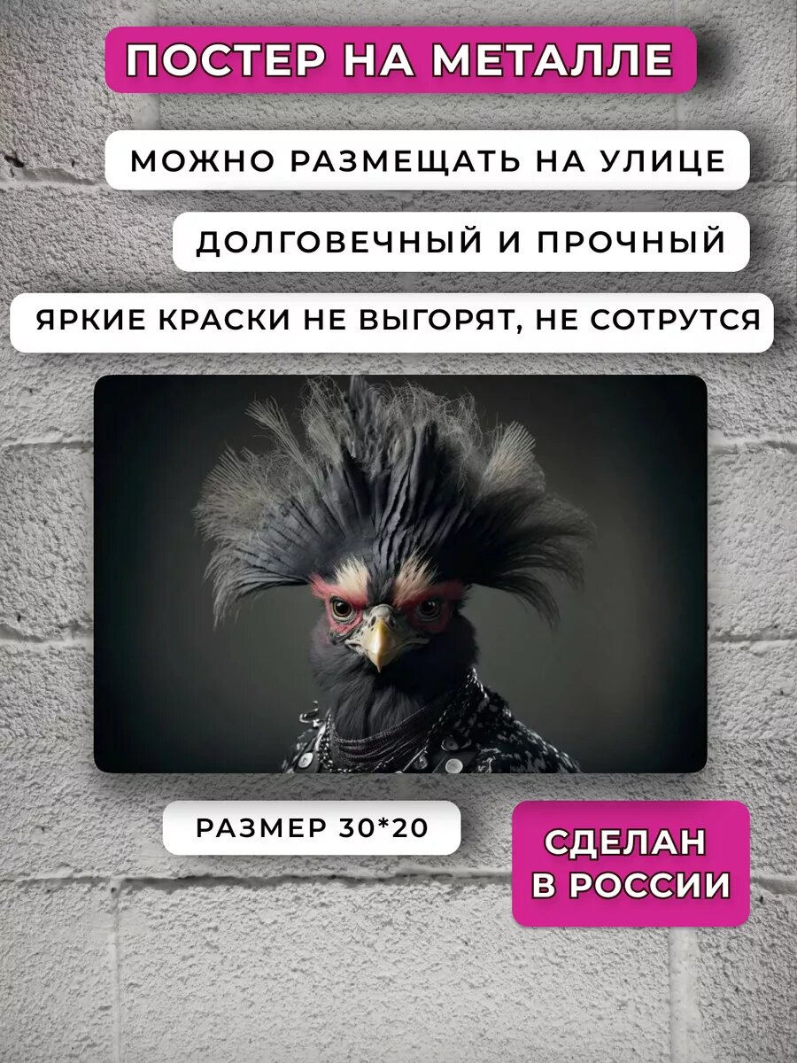 Постер панк Курица — фото 1