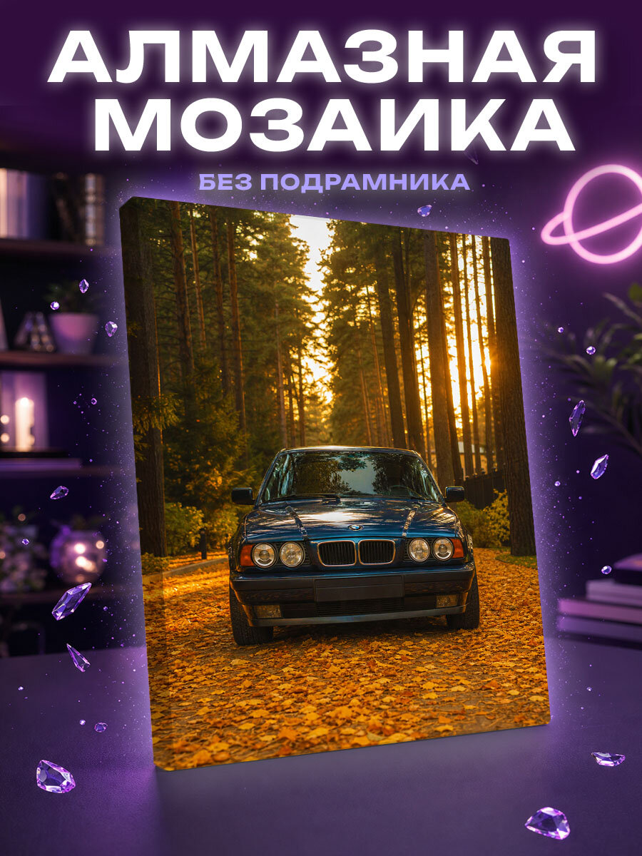 Алмазная мозаика Осенний закат для BMW