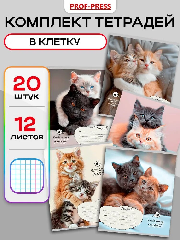 Тетрадь в клетку 12 листов 20 штук, Prof-Press