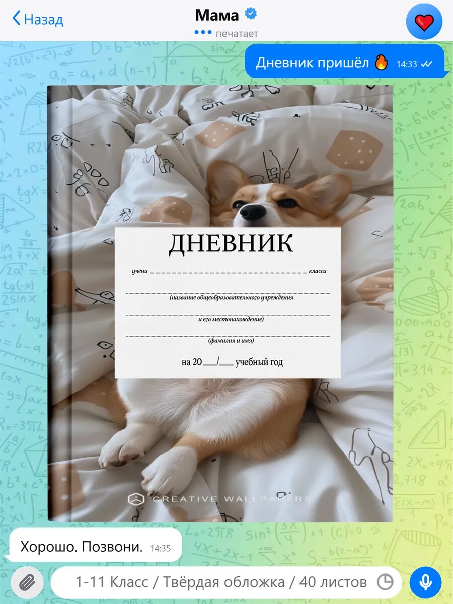Школьный дневник с принтом Роблокс