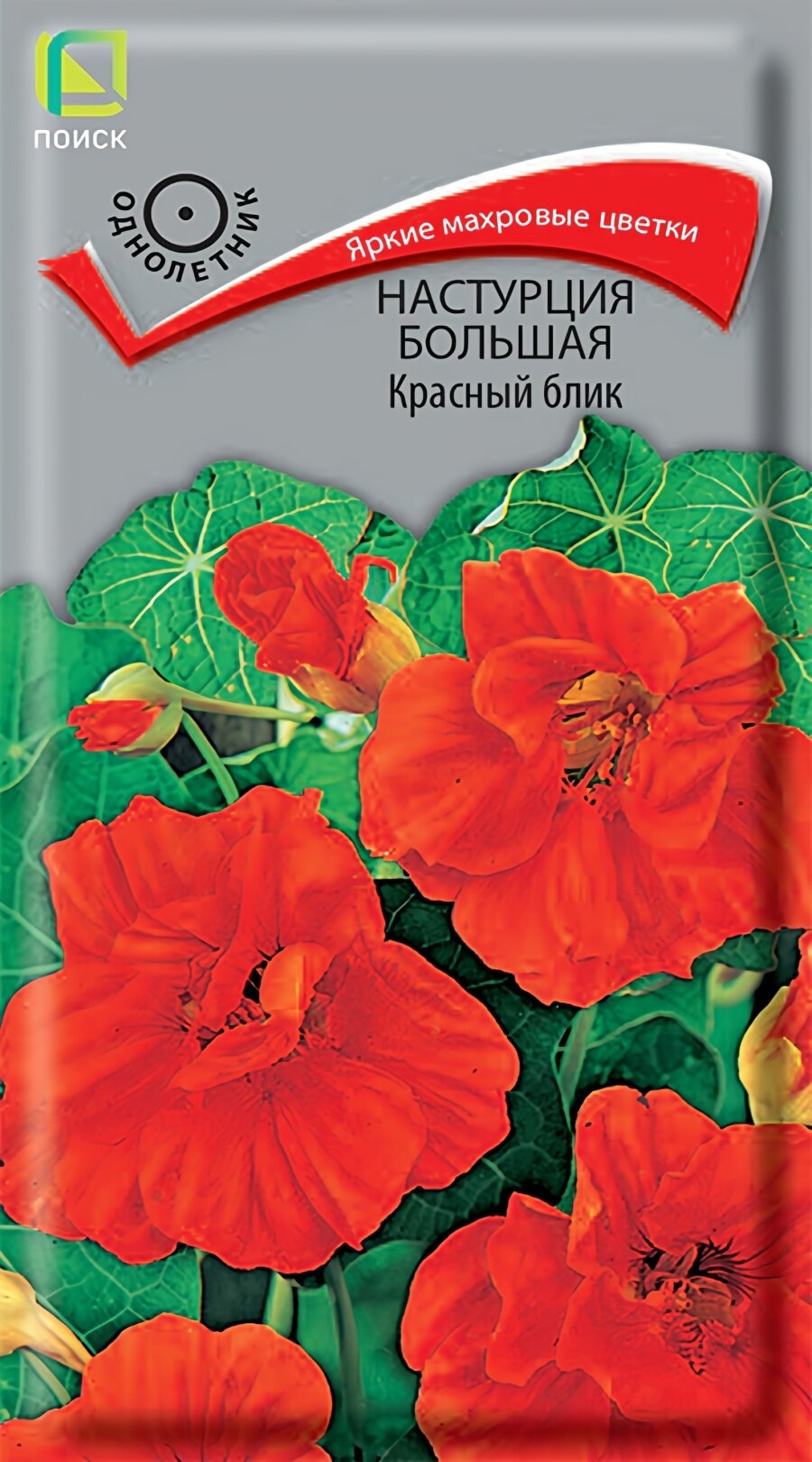 Семена настурции большей Красный блик, 1 г, Поиск, однолетник, высота до 150 см, посев в грунт в мае