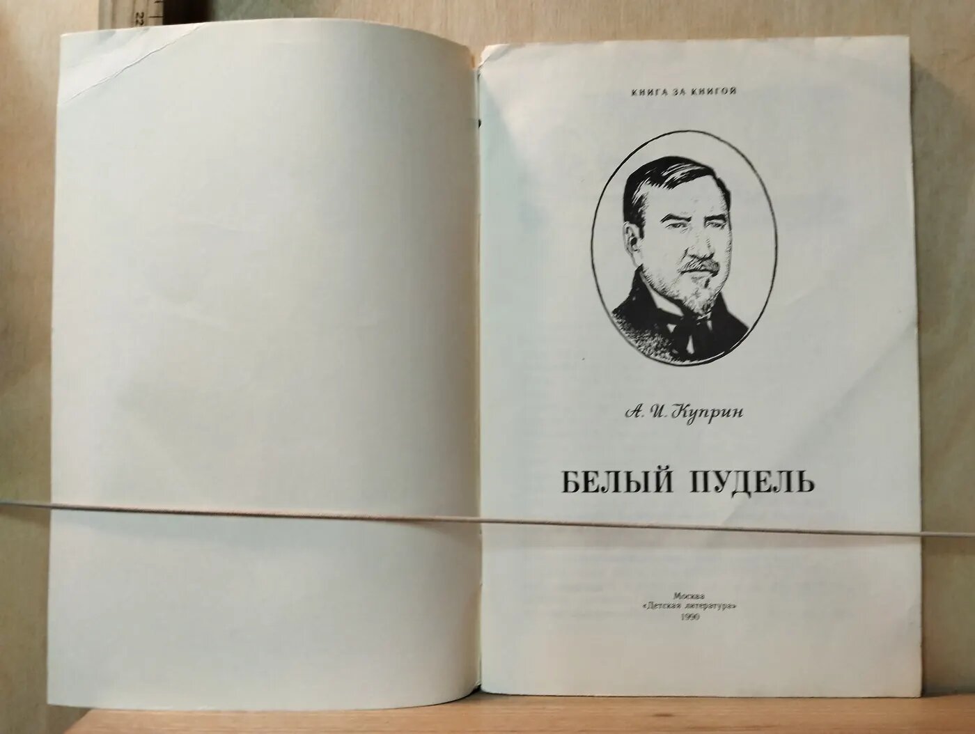 Белый пудель — фото 1