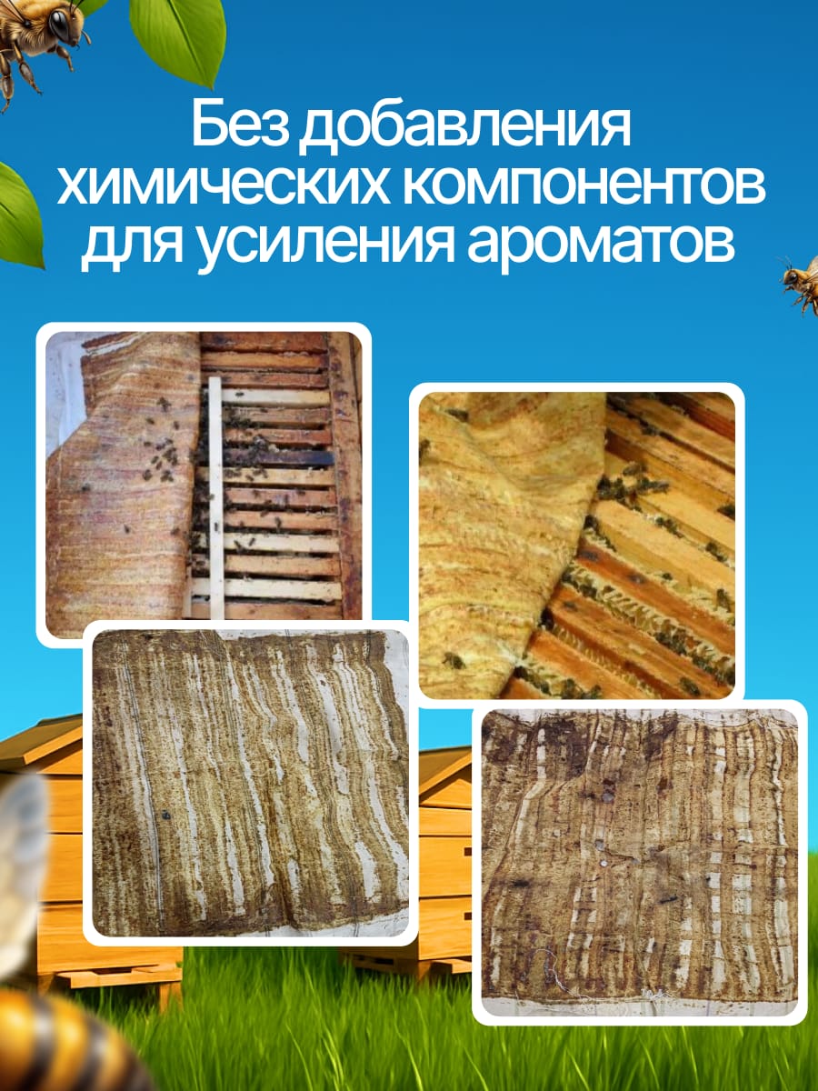 Прополисный холстик — фото 1