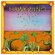 Виниловая пластинка HAWKWIND - HAWKWIND (180 GR)