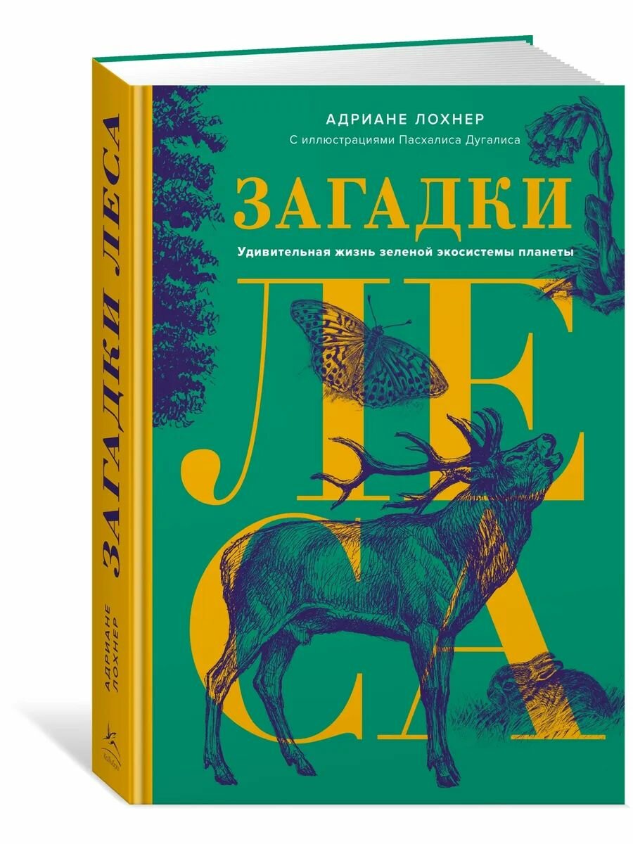 Загадки леса. Удивительная жизнь зеленой экосистемы планеты