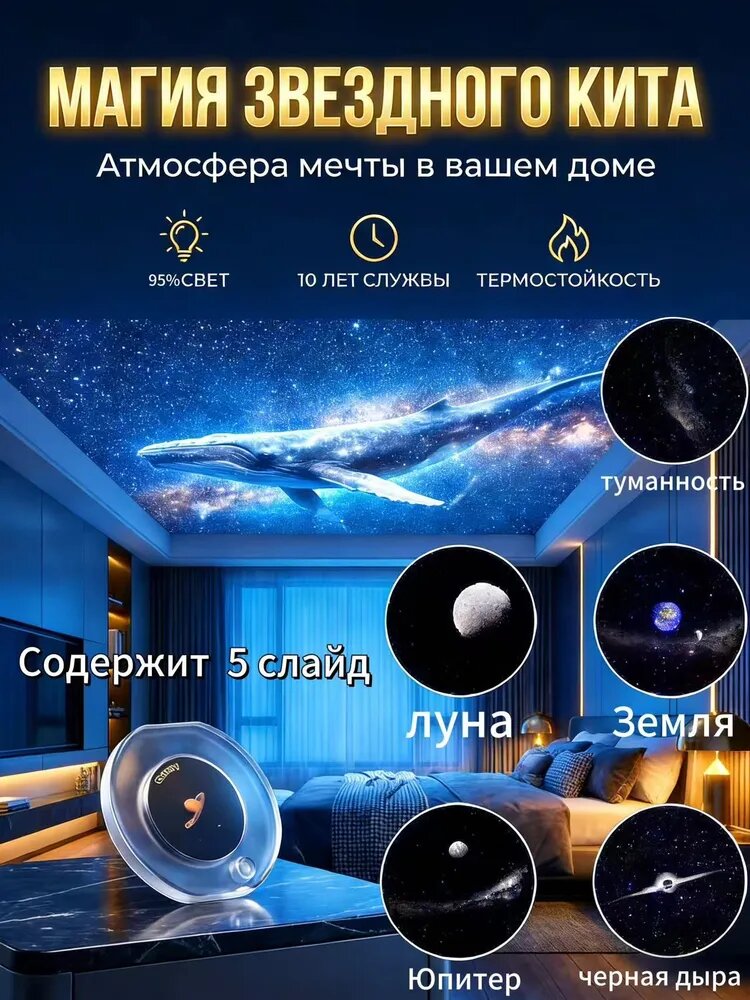Комплект из 5 слайдов, проекционное оборудование не входит в комплект.