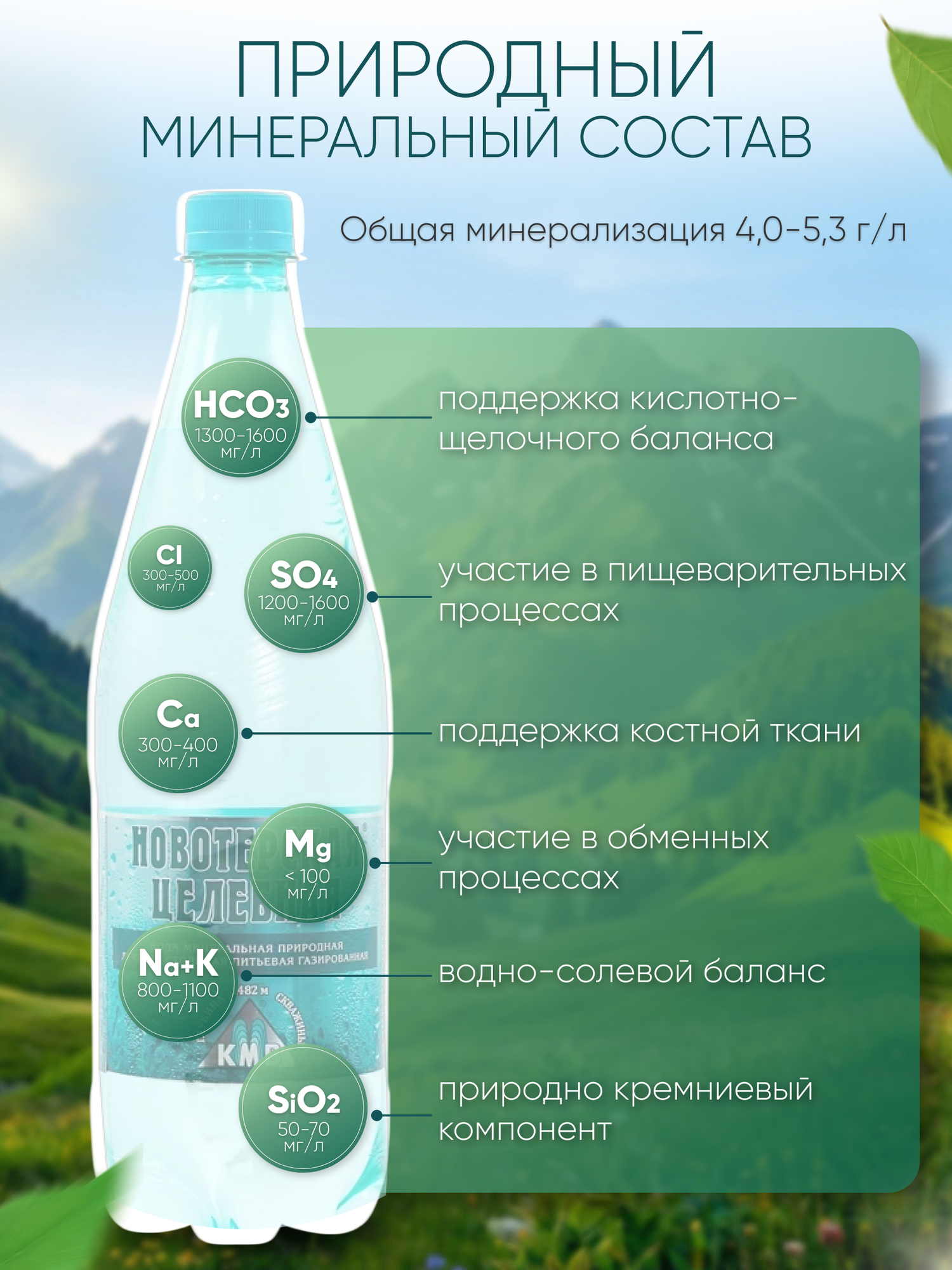 Минеральная вода газированная Новотерская Целебная 1.5 л x 6 шт, лечебно-столовая — фото 1