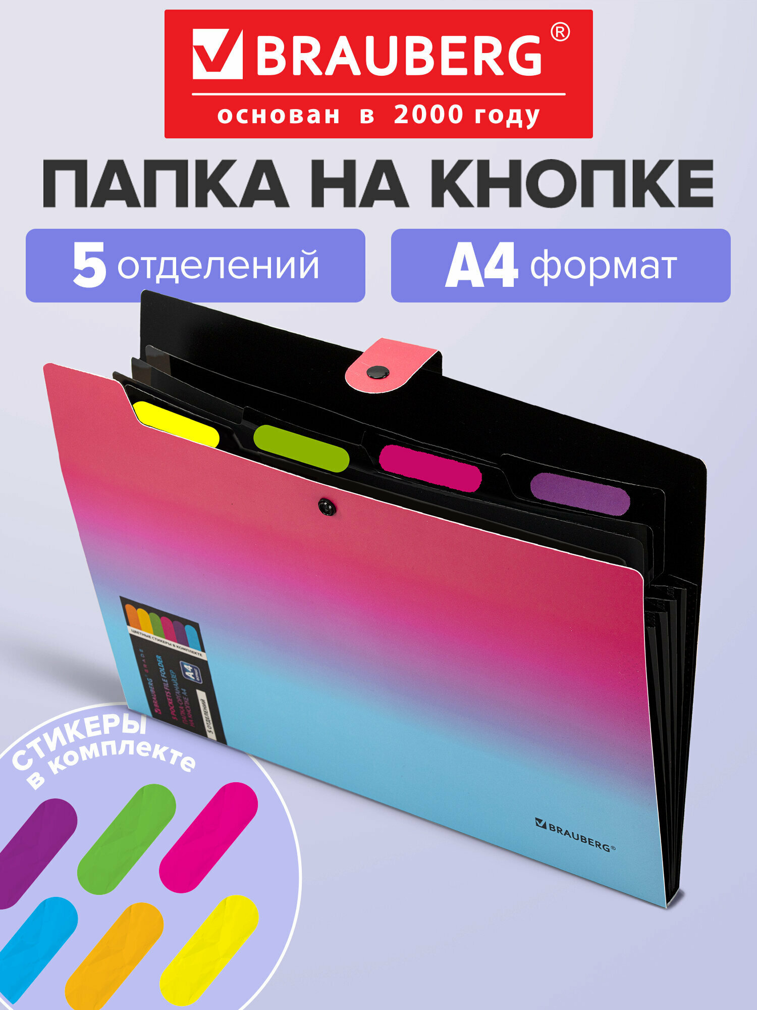 Папка для документов А4 канцелярская на кнопке, органайзер для бумаг 5 отделений, Brauberg Grade, 274091
