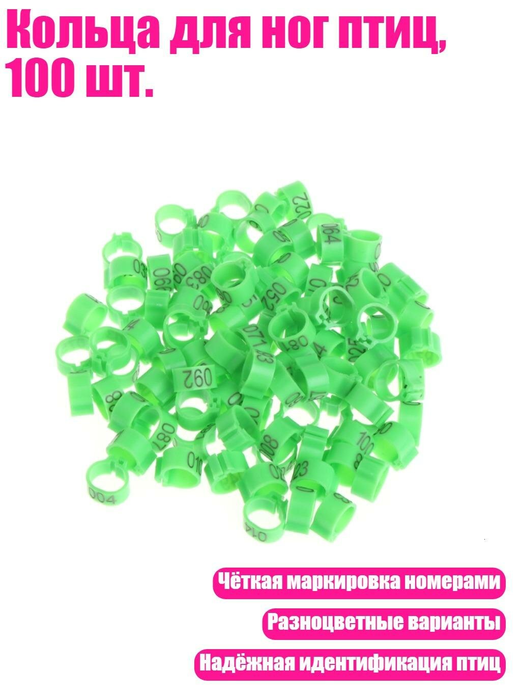 Кольца для ног птиц, 100 шт, Зеленый