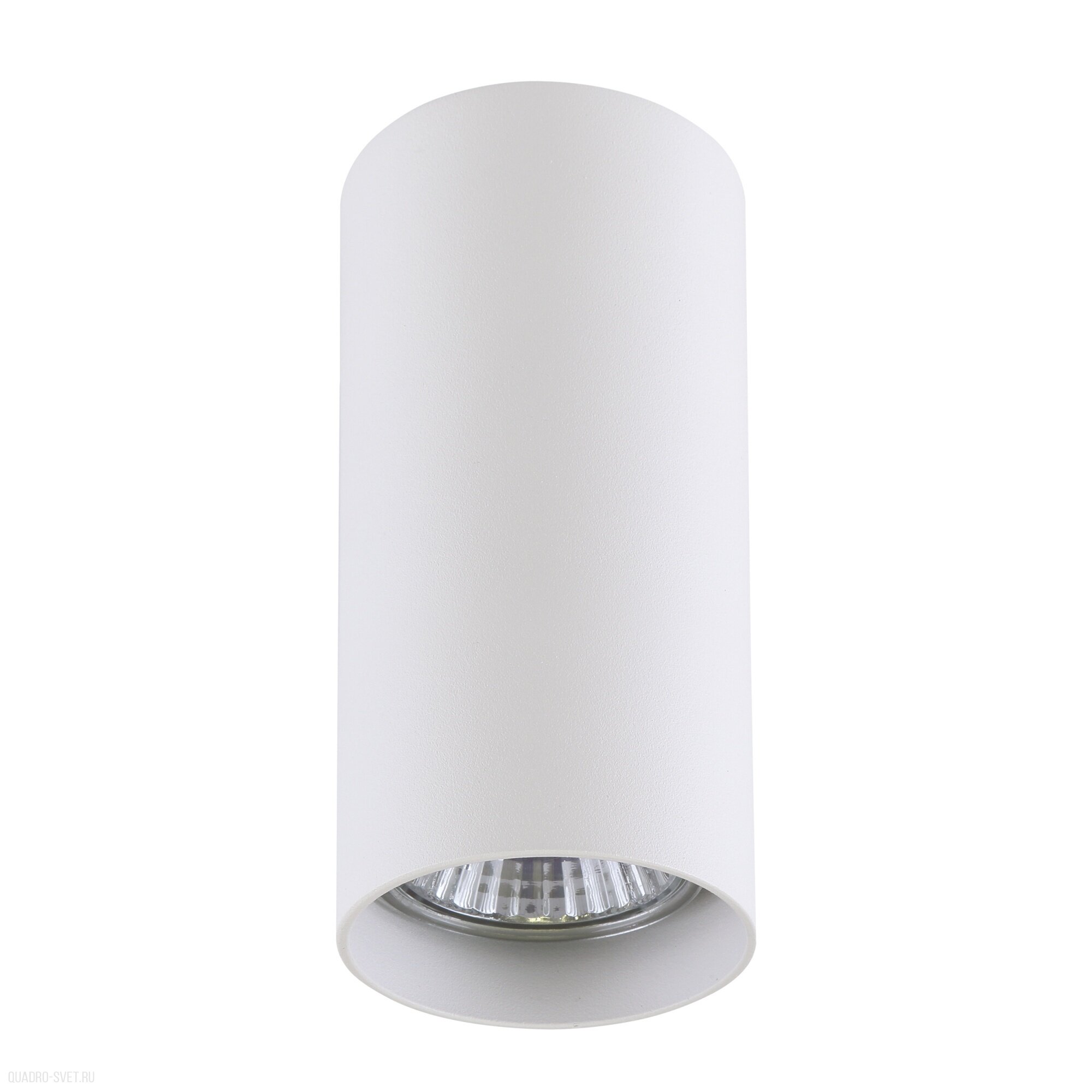 Накладной светильник Lightstar Rullo 214486