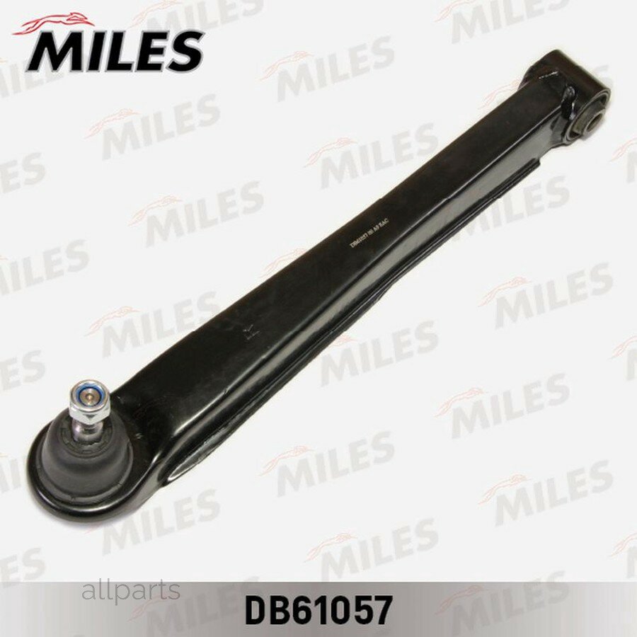 MILES DB61057 Рычаг HYUNDAI SONATA EF 04- (тагаз)/KIA MAGENTIS зад. подв. нижн. лев/прав.