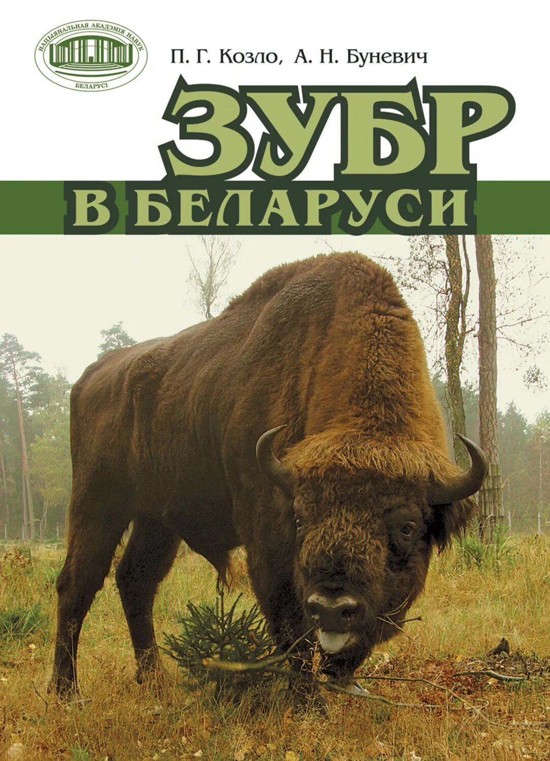 Зубр в Беларуси [Цифровая книга]