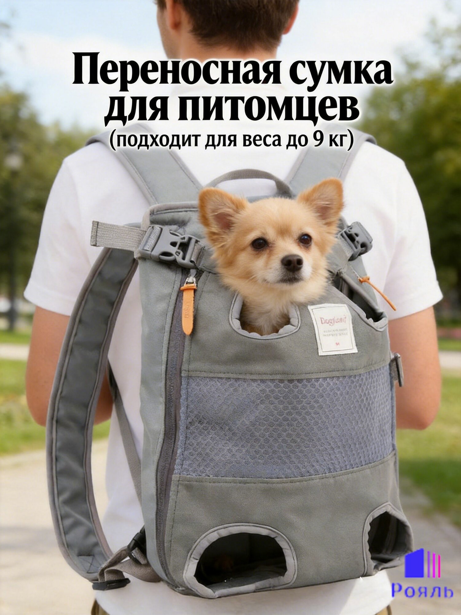 Двусторонний рюкзак-переноска для кошек и собак, дышащий, для спины и груди, 25x40 см, выдерживает до 10 кг