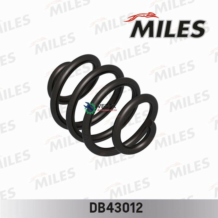 MILES DB43012 Пружина задней подвески VW T5 2.0/1.9TDI 03- (KYB RX5558) DB43012 2шт