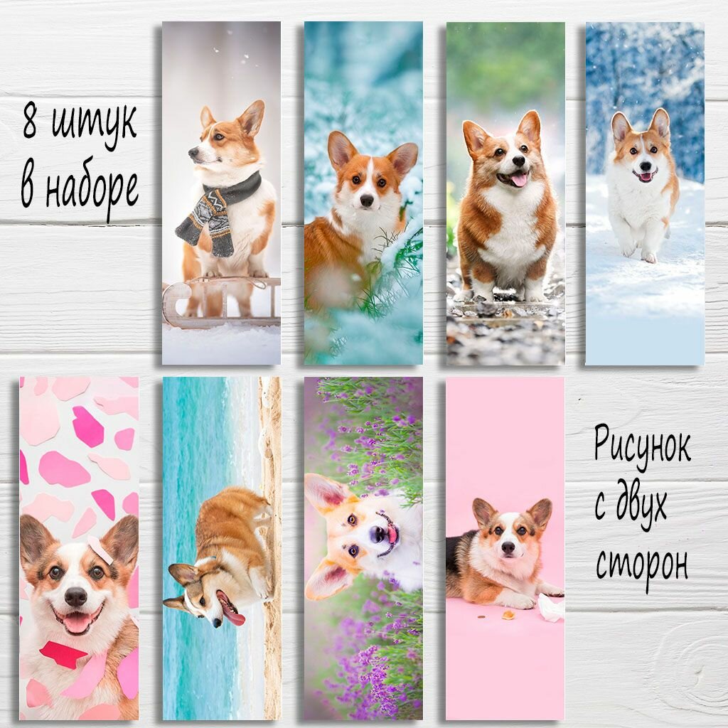 Закладка для книг Корги, набор из 8 штук
