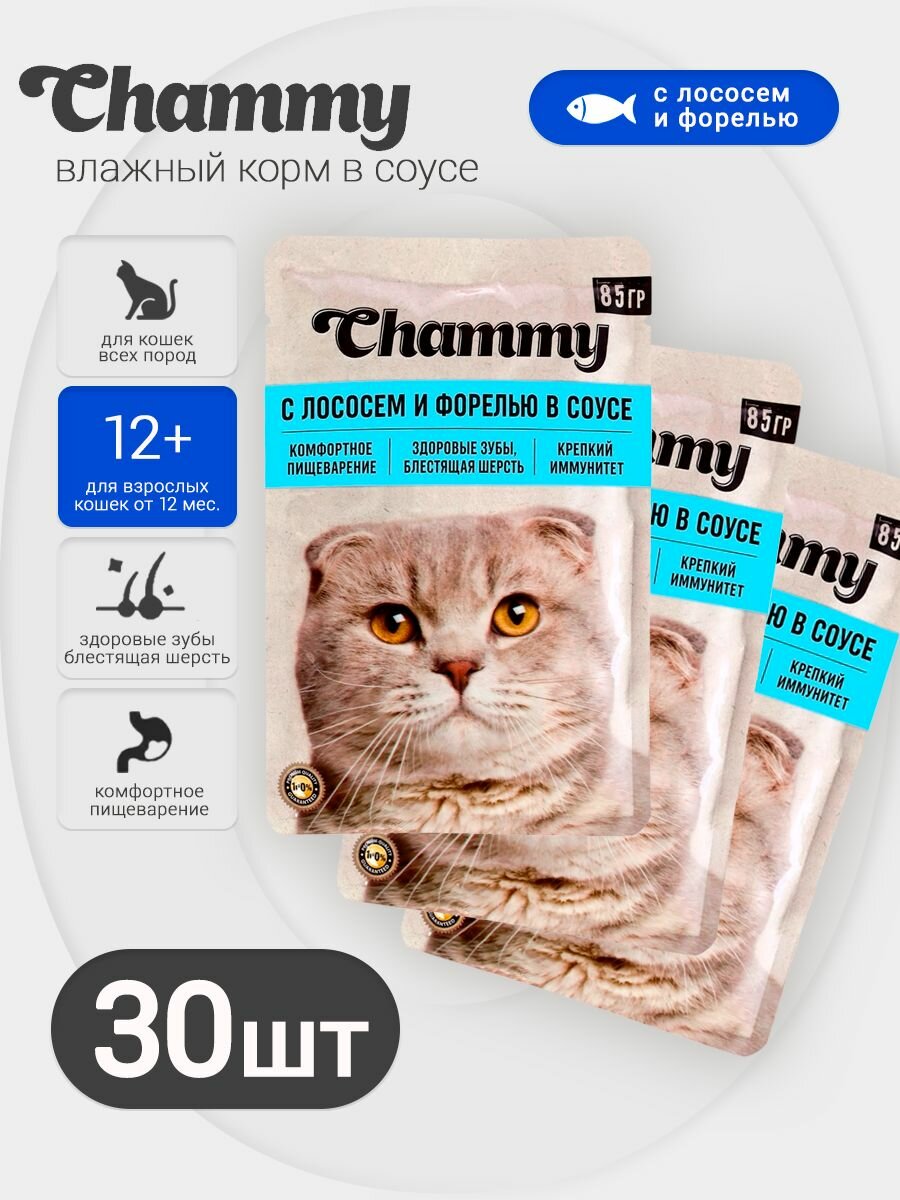 Корм для кошек "Chammy", влажный с лососем и форелью в соусе - 30 шт. по 85 грамм.