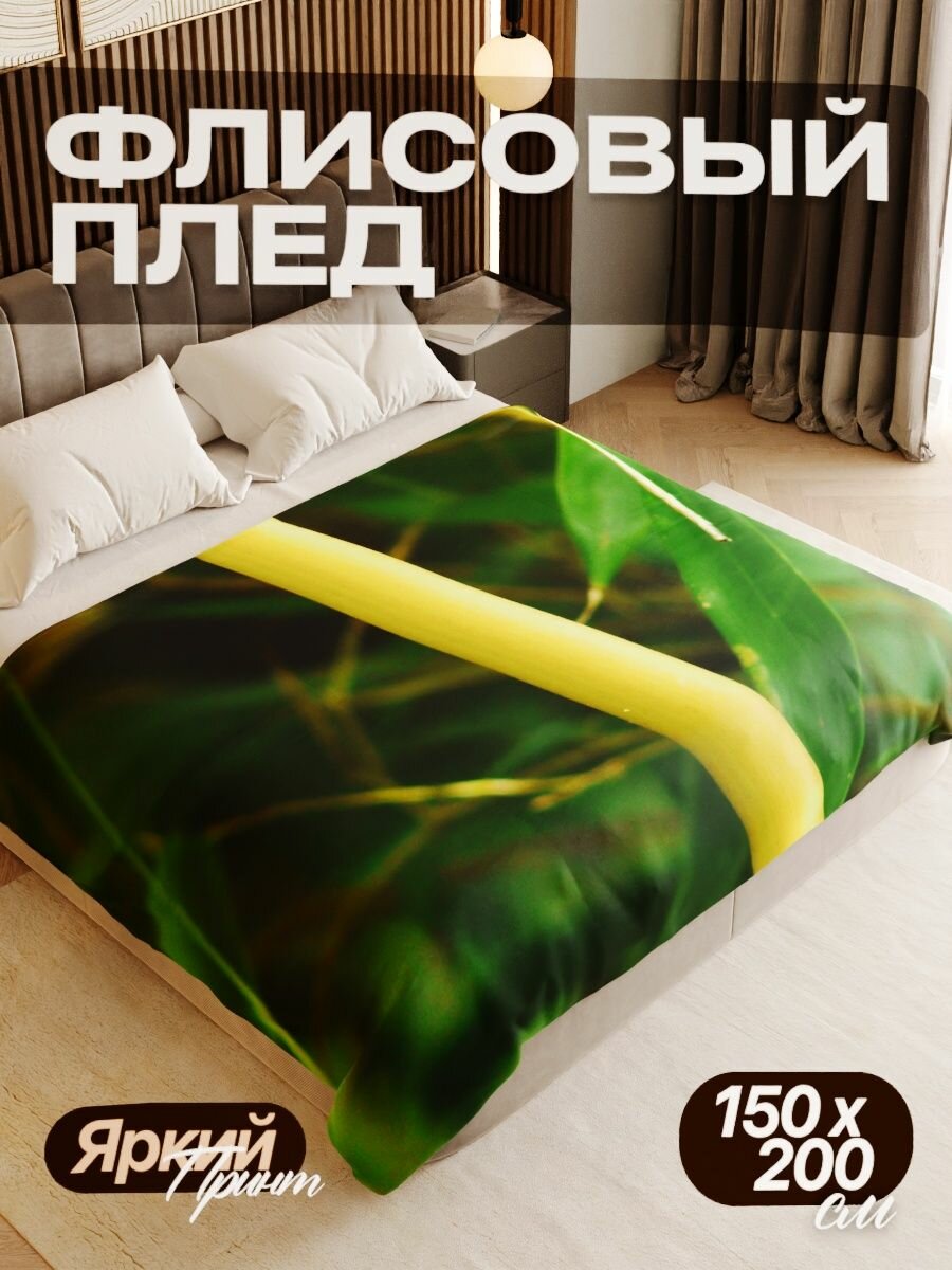 Плед флисовый 150х200 см мягкий теплый покрывало для дома