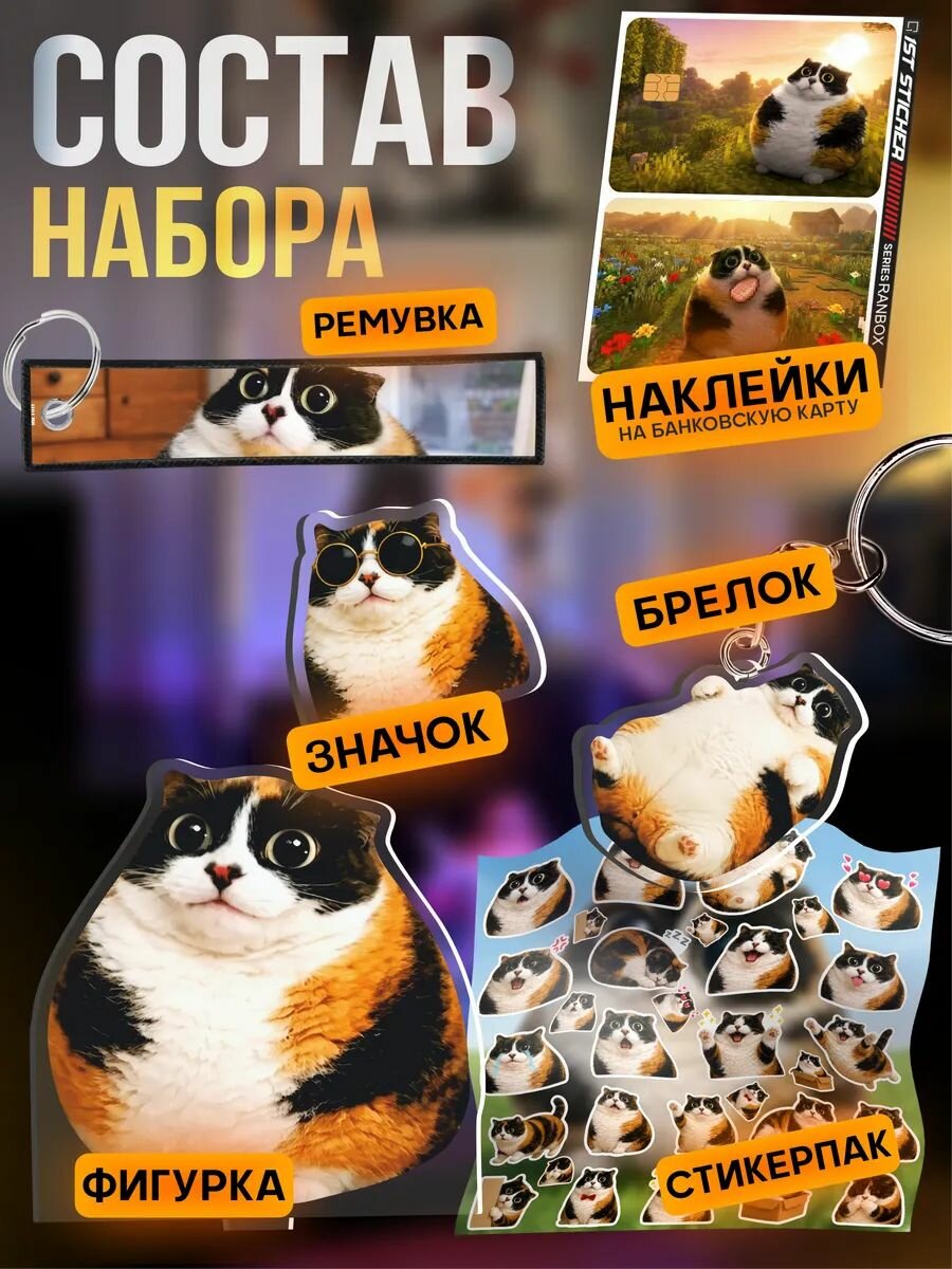 Подарочный бокс Котость мем — фото 1
