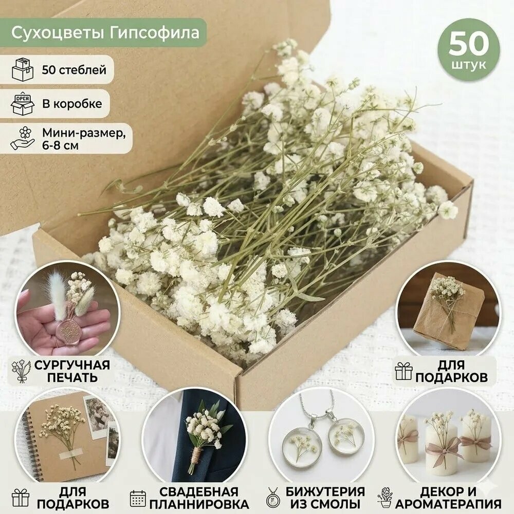 Сухоцветы, 8 см, 40 гр, 50 шт