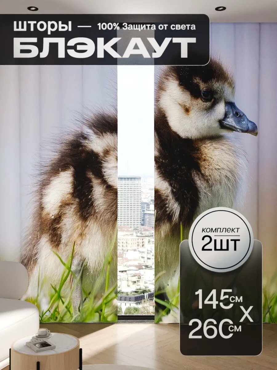Шторы блэкаут 145x260 см 2 шт на окна плотные комплект