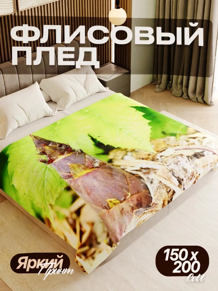 Плед флисовый 150х200 см мягкий теплый покрывало для дома