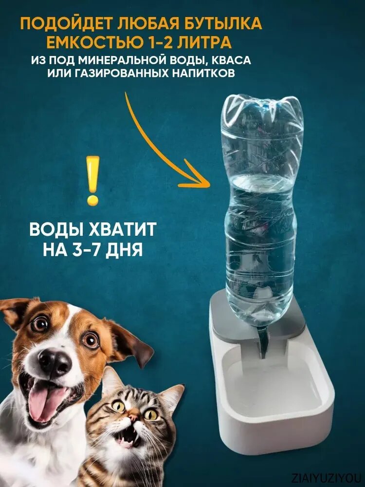 Автокормушка — фото 1
